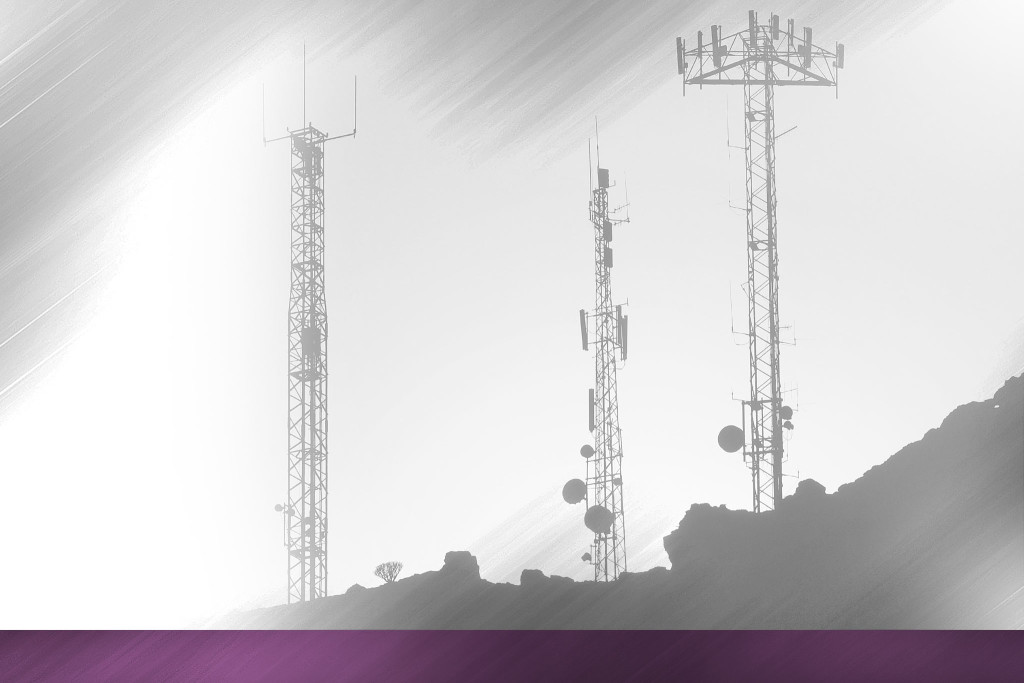 Bg Services2 Lynx Consulting Inc Woodinville Wa